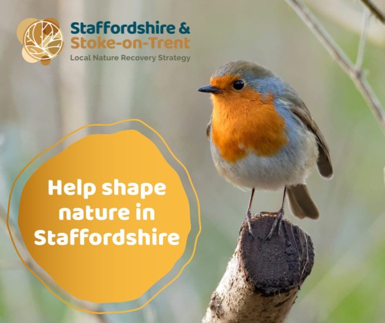 Help shape Staffordshire’s nature recovery plans – Shobnall Parish Council